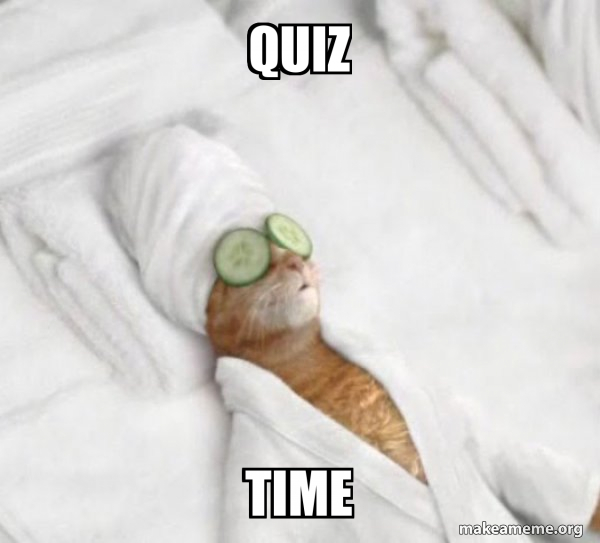 Quiz time - Pampered Cat Meme Meme Generator