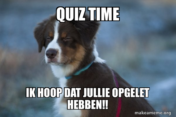 quiz time ik hoop dat jullie opgelet hebben!! - Unsure Dog Meme Generator