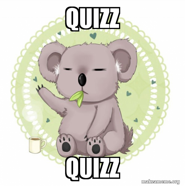 QUIZZ QUIZZ - Aussie Koala doing the night shift Meme Generator