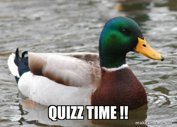 QUIZZ TIME !! - Actual Advice Mallard Meme Generator