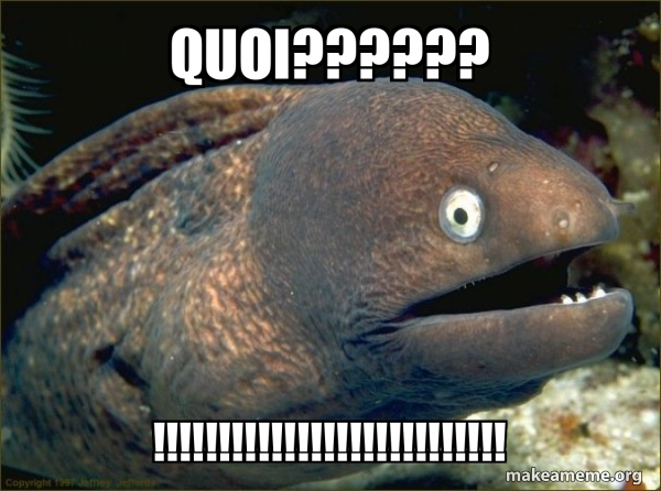 quoi?????? !!!!!!!!!!!!!!!!!!!!!!!!!!! - Bad Joke Eel Meme Generator