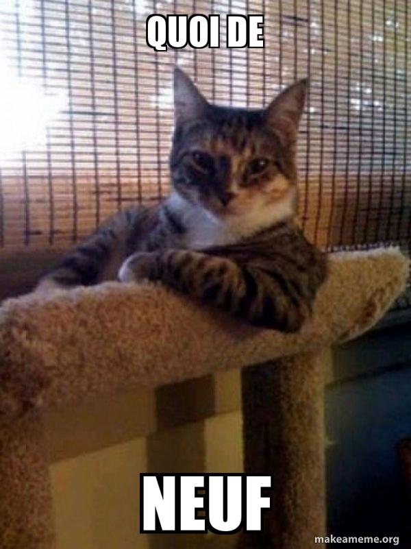 quoi de neuf - The Most Interesting Cat in the World Meme Generator