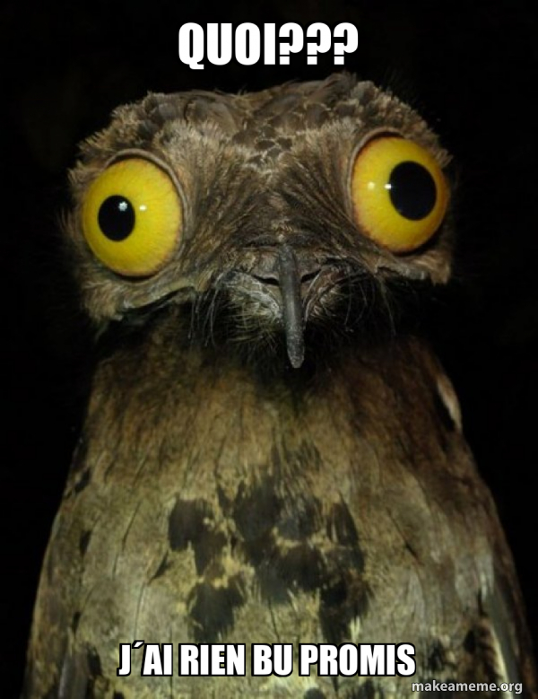 Quoi??? J´ai rien bu promis - Weird Stuff I do Potoo Meme Generator