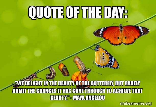 quote of the day: "We delight in the beauty of the butterfly, but ...