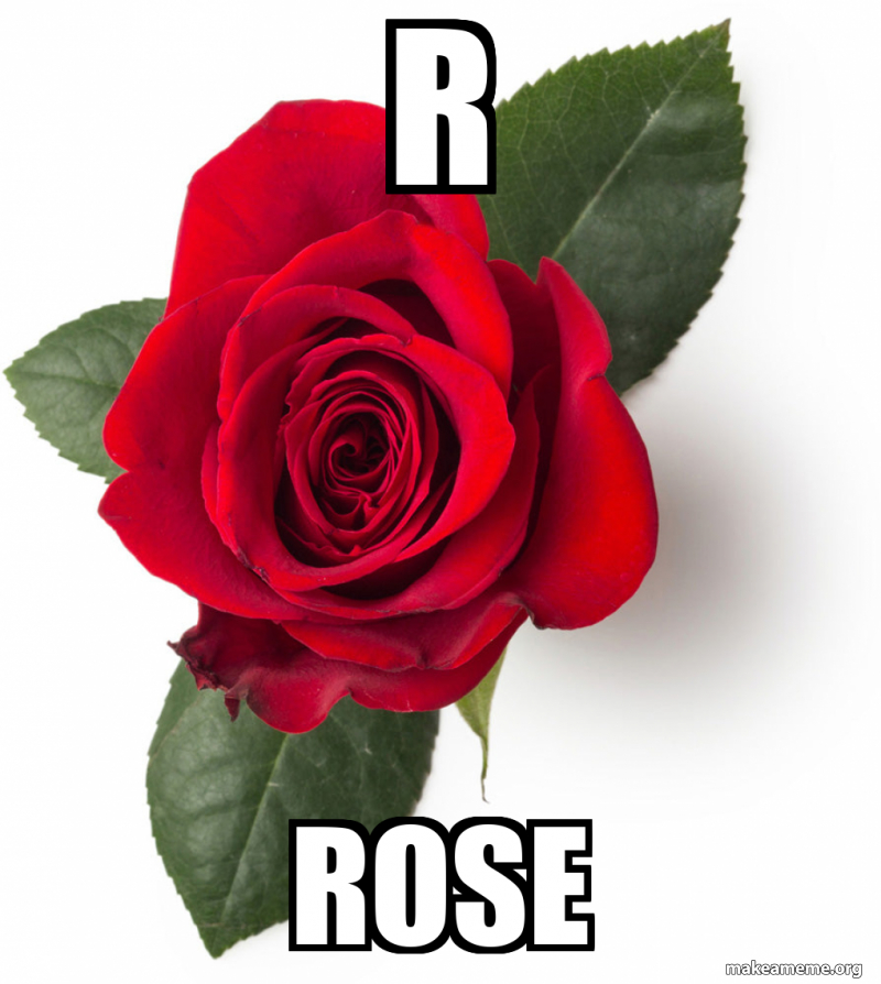 R Rose Meme Generator
