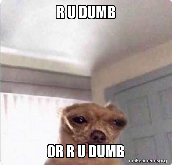 R u dumb Or r u dumb Meme Generator