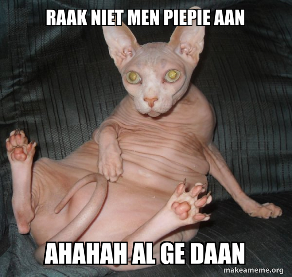 raak niet men piepie aan ahahah al ge daan - Hairless Cat Meme Generator
