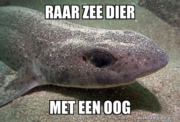 raar zee dier met een oog - Dirty Joke Dogfish Meme Generator