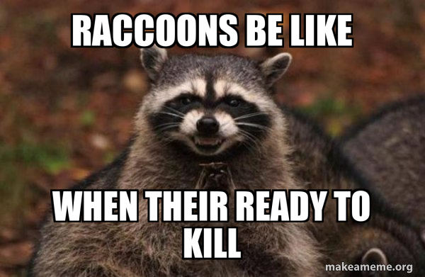 Raccoons be like When their ready to kill - Evil Plotting Raccoon Meme Generator