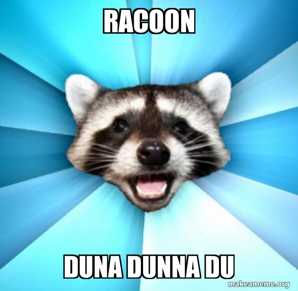 Racoon DUna dunna du - Lame Pun Coon Meme Generator