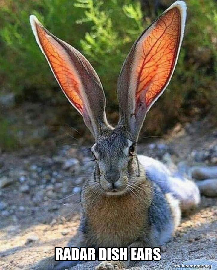 Radar dish ears Meme Generator