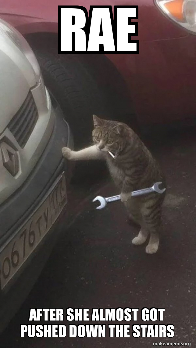 rae after she almost got pushed down the stairs - Mechanic Cat Meme ...