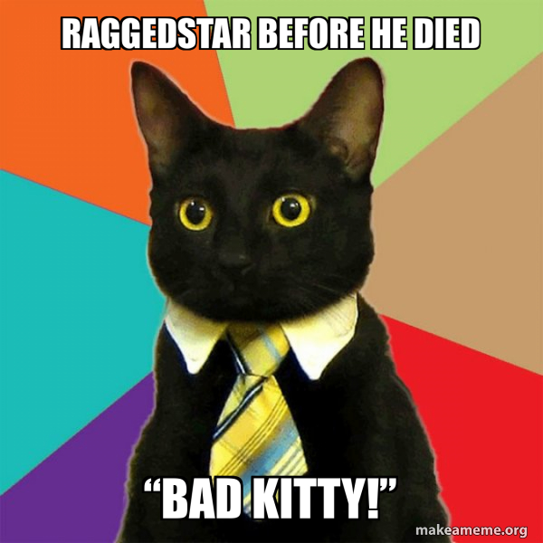 Raggedstar before he died “Bad kitty!” - Business Cat Meme Generator