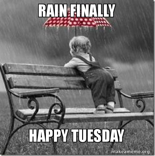Rain Finally Happy Tuesday Meme Generator