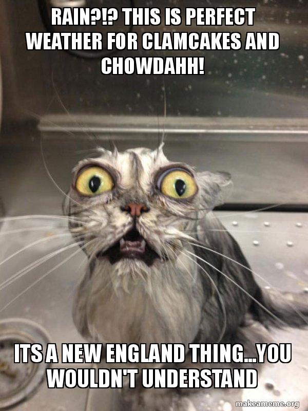 Flooding Memes