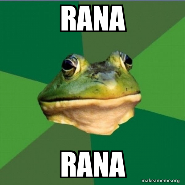 rana rana - Foul Bachelor Frog Meme Generator