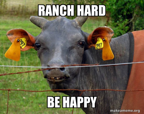 ranch hard be happy - Hairless Cow Meme Generator