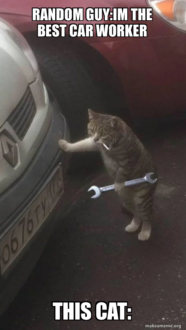 Random guy:Im the best car worker This Cat: - Mechanic Cat Meme Generator