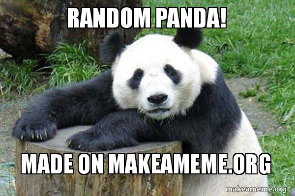 random panda! made on makeameme.org - Confession Panda Meme Generator