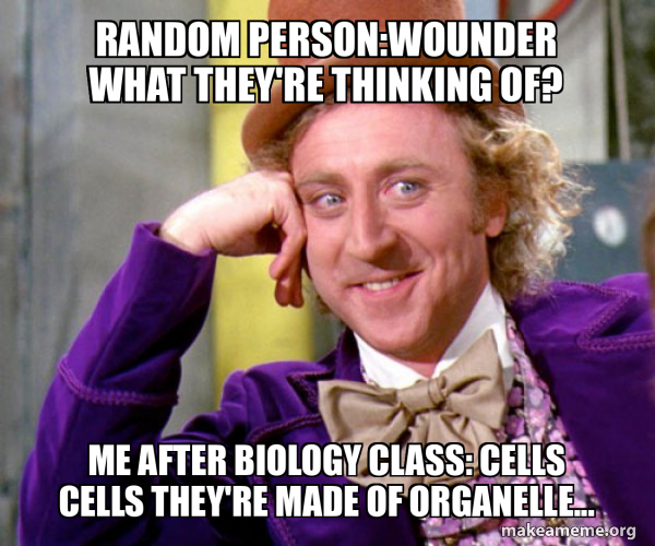 random person:wounder what they're thinking of? me after biology class ...