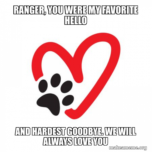 Ranger, you were my favorite hello And hardest goodbye. We will always ...
