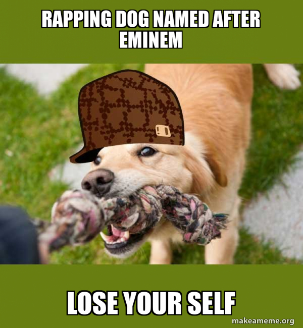 Rapping dog named after eminem Lose your self - Scumbag dog Meme Generator