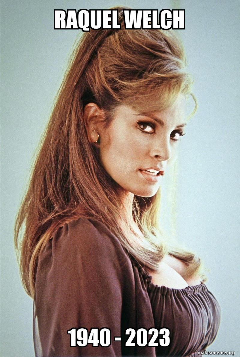 RAQUEL WELCH 1940 - 2023 Meme Generator