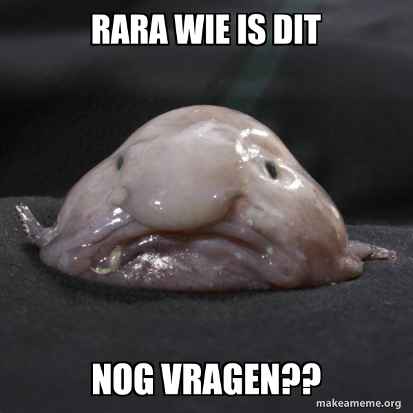 Rara wie is dit nog vragen?? - Blobfish Meme Generator