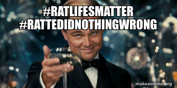 #ratlifesmatter #rattedidnothingwrong - Great Gatsby Reaction ...
