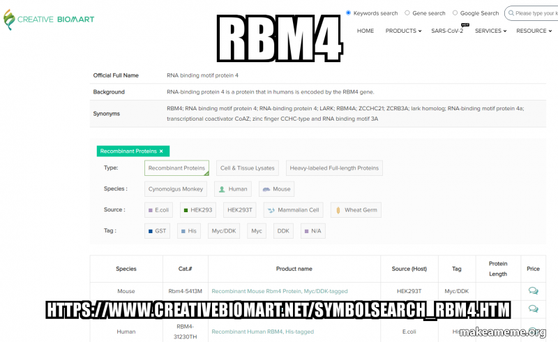 RBM4 https://www.creativebiomart.net/symbolsearch_RBM4.htm - RBM4 Meme ...