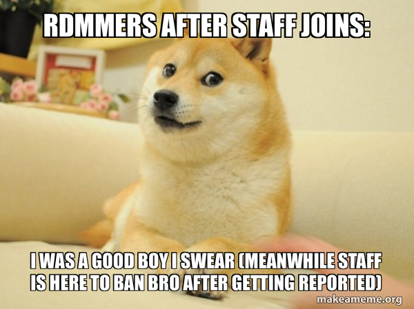 Rdmmers after staff joins: I was a good boy I swear (meanwhile staff is ...