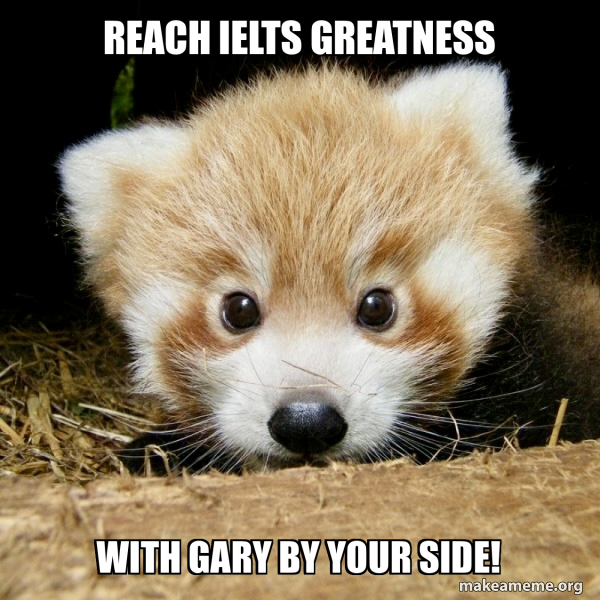 Reach IELTS greatness with Gary by your side! Meme Generator