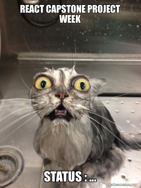 REACT CAPSTONE PROJECT WEEK Status : ... - Cat bath Meme Generator
