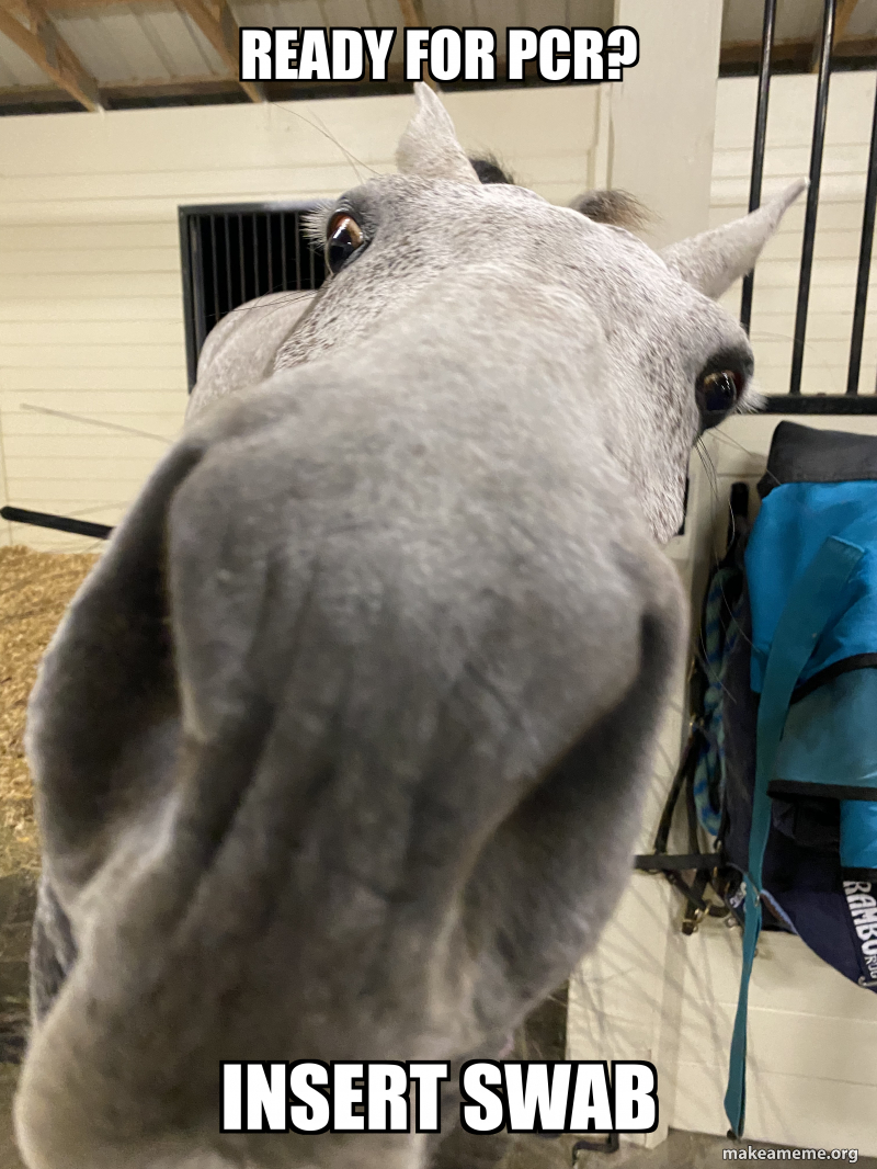 Ready for pcr? Insert swab Meme Generator