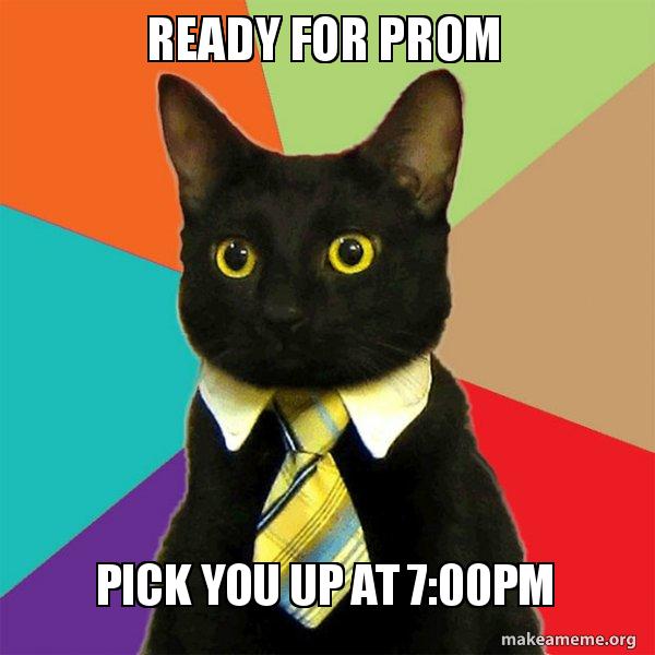 ready for prom pick you up at 7:00pm - Business Cat Meme Generator