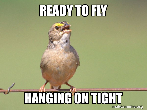 ready to fly hanging on tight - Common Opinion Sparrow Meme Generator