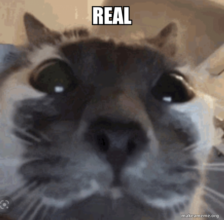 real Meme Generator