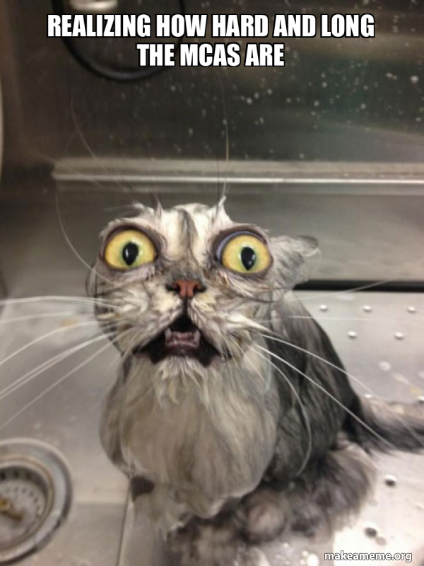realizing how hard and long the MCAS are - Cat bath Meme Generator