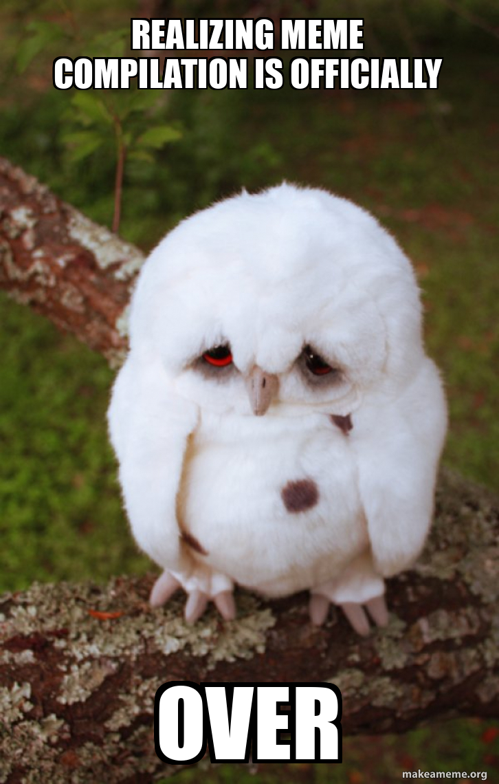 Realizing Meme Compilation is officially OVER - Sad Owl Meme Generator
