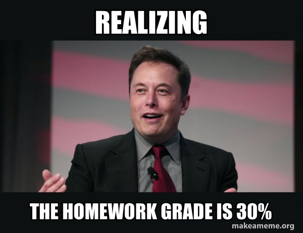 Realizing The homework grade is 30% - Elon Musk Meme Generator