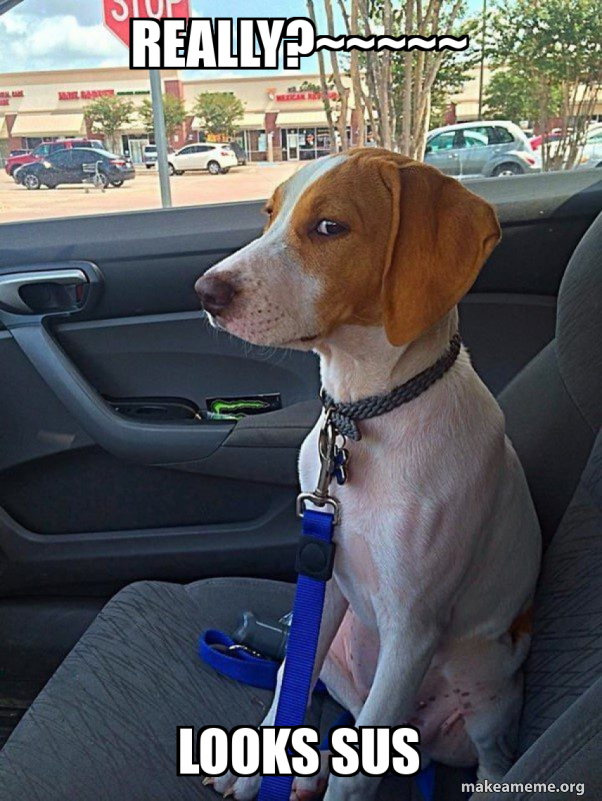 Really?~~~~~ Looks sus Meme Generator