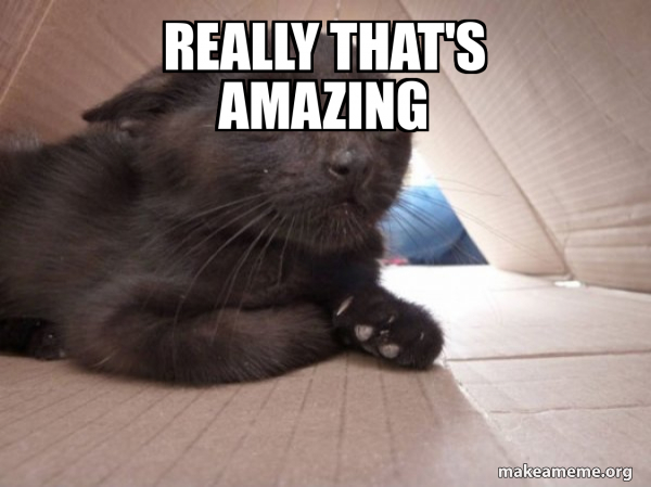 Really that's amazing - Schitzo Cat Meme Generator