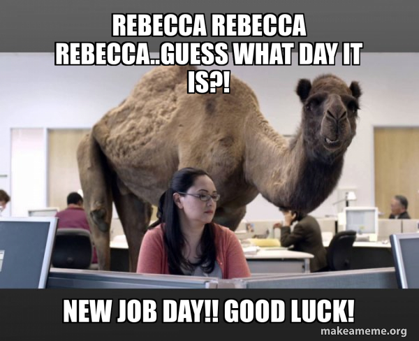 REBECCA REBECCA REBECCA..GUESS WHAT DAY IT IS?! NEW JOB DAY!! GOOD LUCK ...