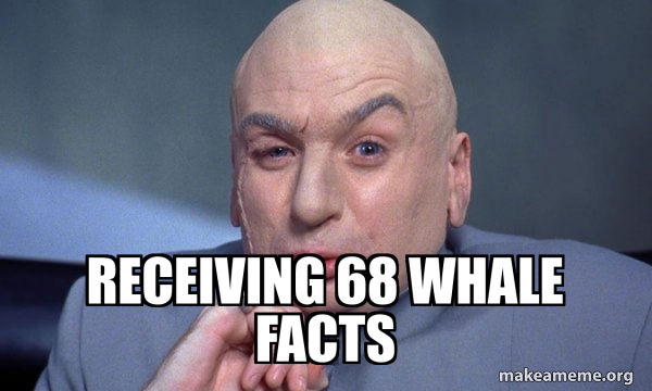 receiving 68 whale facts - You Complete Me Meme Generator