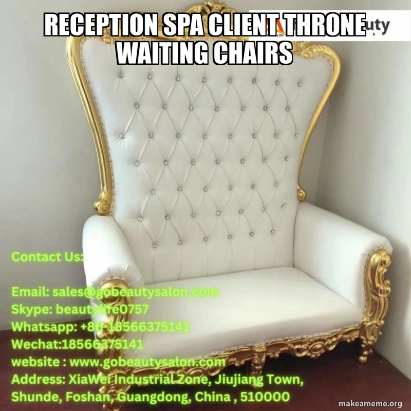 Reception Spa Client Throne Waiting Chairs Meme Generator