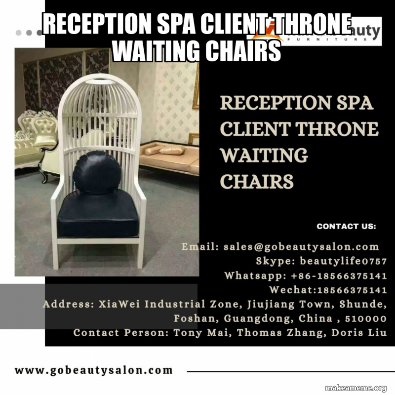 Reception Spa Client Throne Waiting Chairs Meme Generator