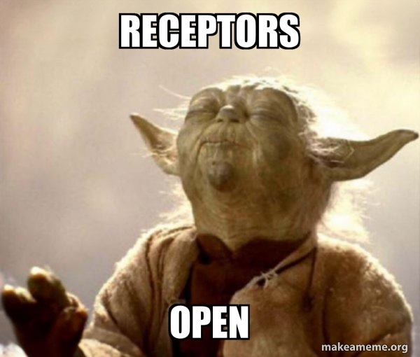 receptors open - Yoda Smell Meme Generator