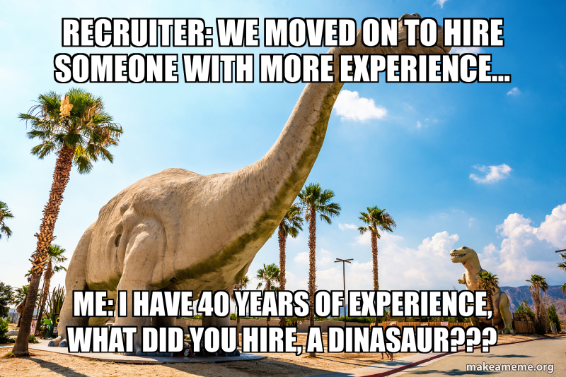 RECRUITER: WE MOVED ON TO HIRE SOMEONE WITH MORE EXPERIENCE... ME: I ...