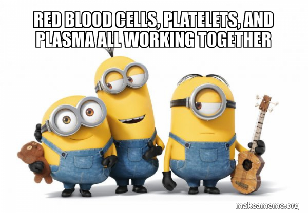 Red Blood Cells, Platelets, and Plasma all working together - Minions ...