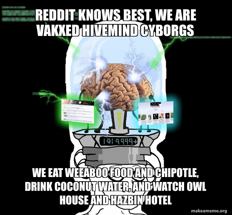 reddit knows best, we are vakxed hivemind cyborgs we eat weeaboo food ...
